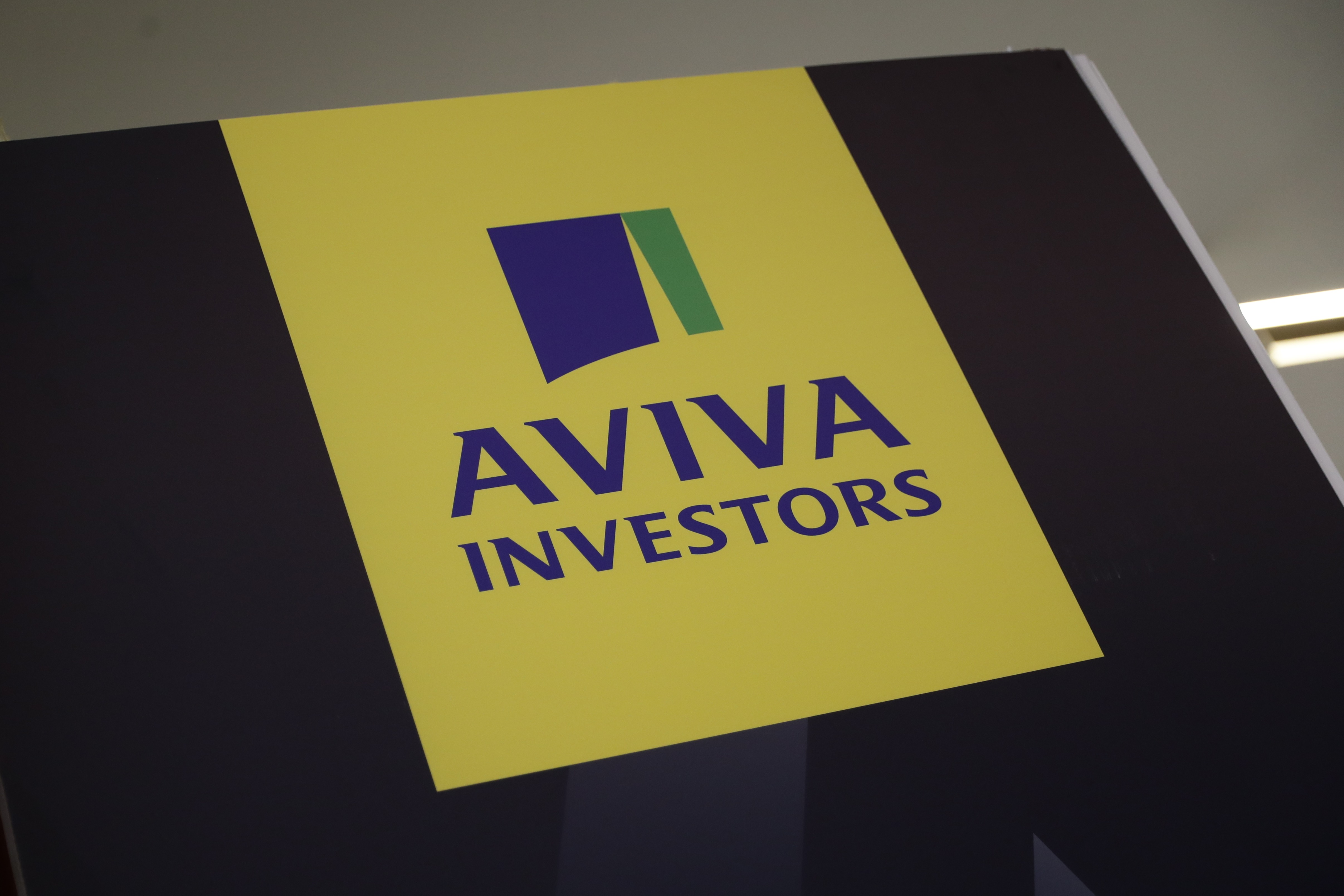 Aviva Investors nomina l'head of Climate Policy | MilanoFinanza News