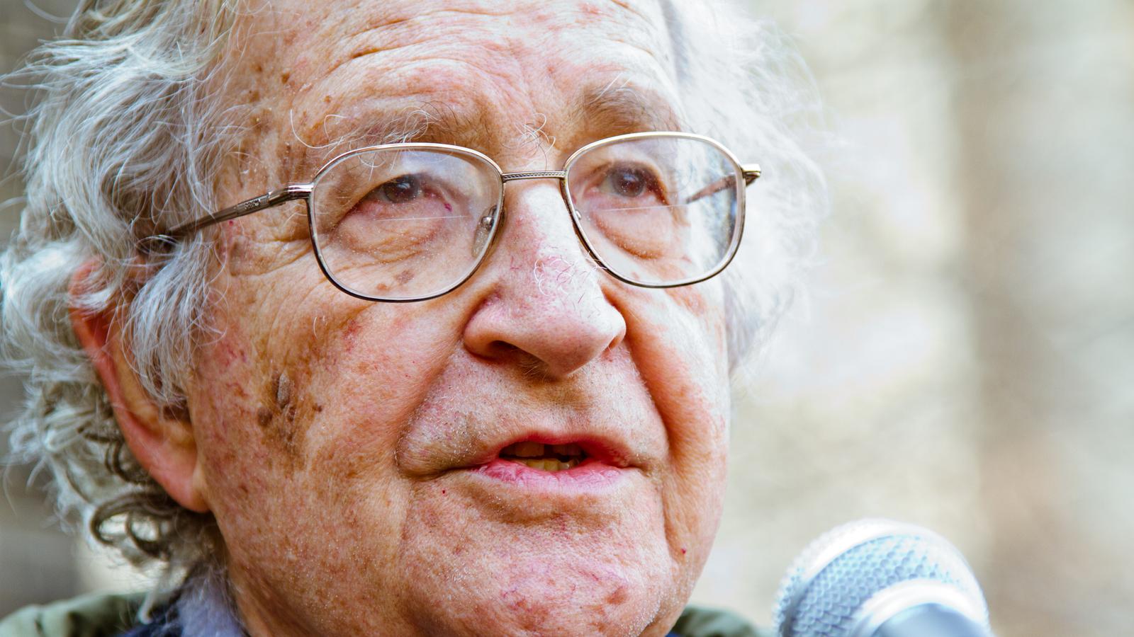 Così Epstein ha trasferito 270.000 dollari per conto di Noam Chomsky | MilanoFinanza News