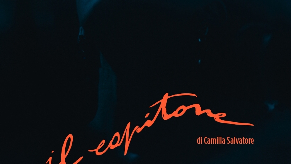 Sabato De Sarno presenta Il capitone di Camilla Salvatore all’Anteo di ...